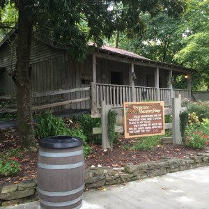 Camping Out at Dollywood - Mags On The Move